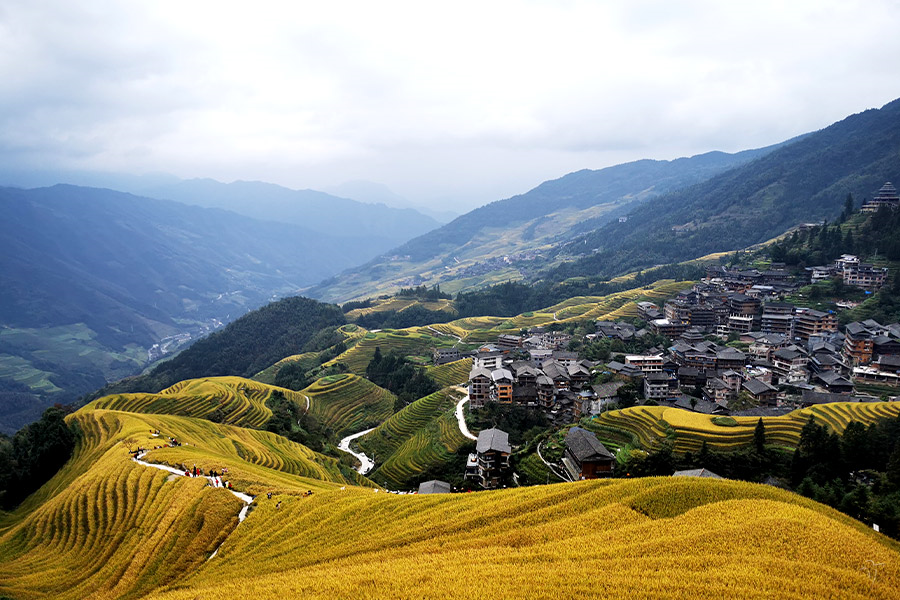 【龙脊阳朔四日游】探寻梯田古寨，畅览江河山石